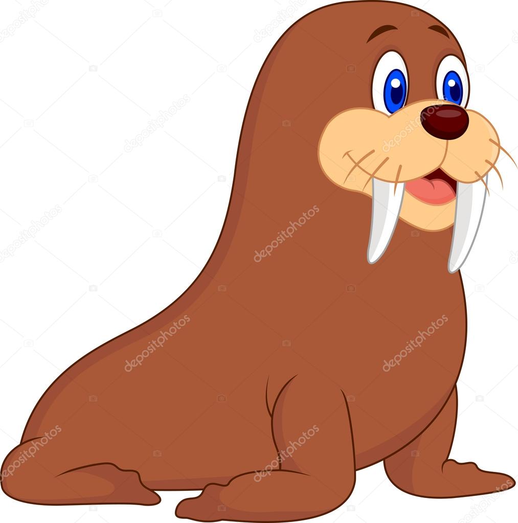 Funny Cartoon Walrus