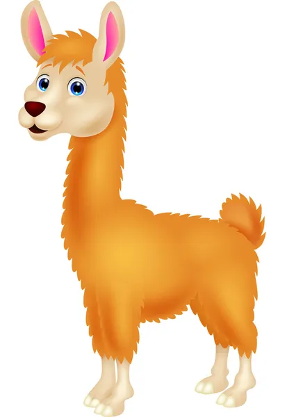 Vicuña vector, gráfico vectorial, imágenes de Vicuña vectoriales de ...