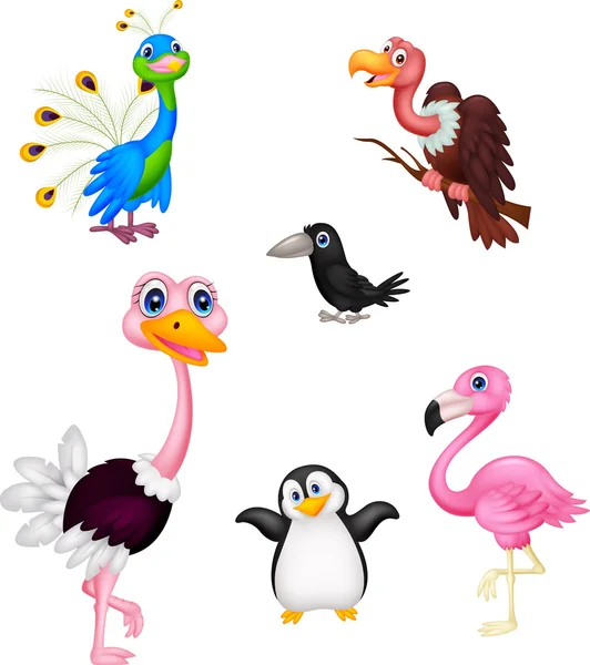 Cartoon birds collection set Stock Vector Image by ©tigatelu #42241839