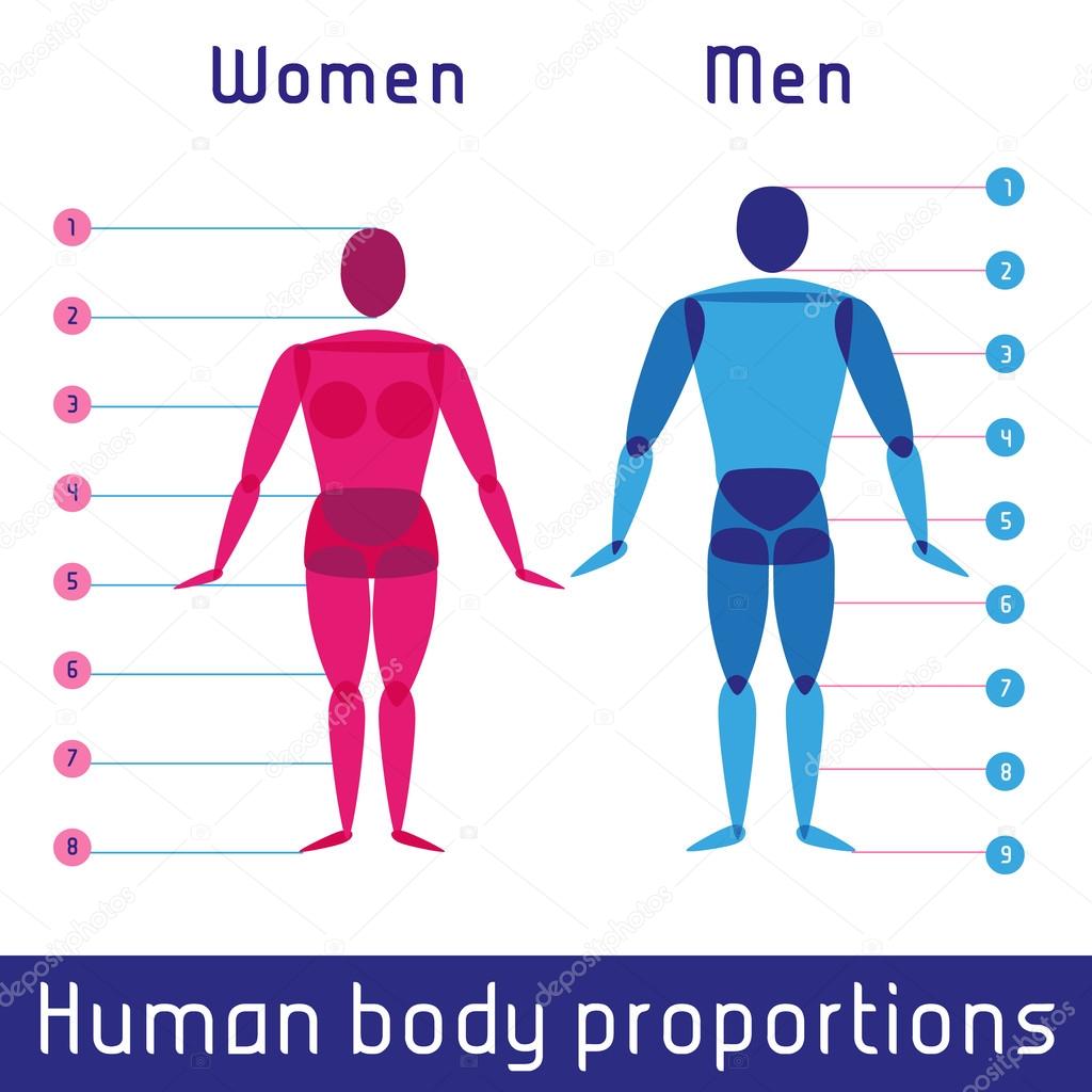 HumanBody Stock Vector Image by ©PushnovaL #21815559