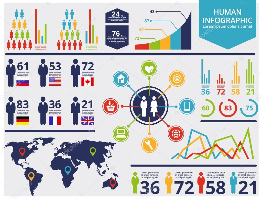 HumanGraph Stock Vector Image by ©PushnovaL #26083209