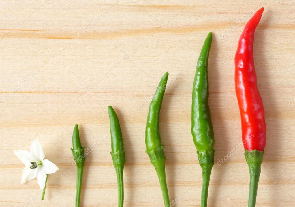 Growing up — Stock Photo © smuayc #31554053