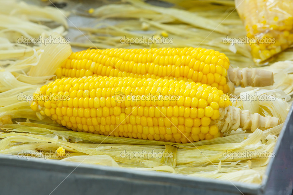 Steamed corn Stock Photo by ©smuayc 46357011