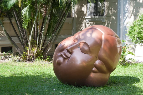 Twofaced Pictures, Twofaced Stock Photos & Images | Depositphotos®