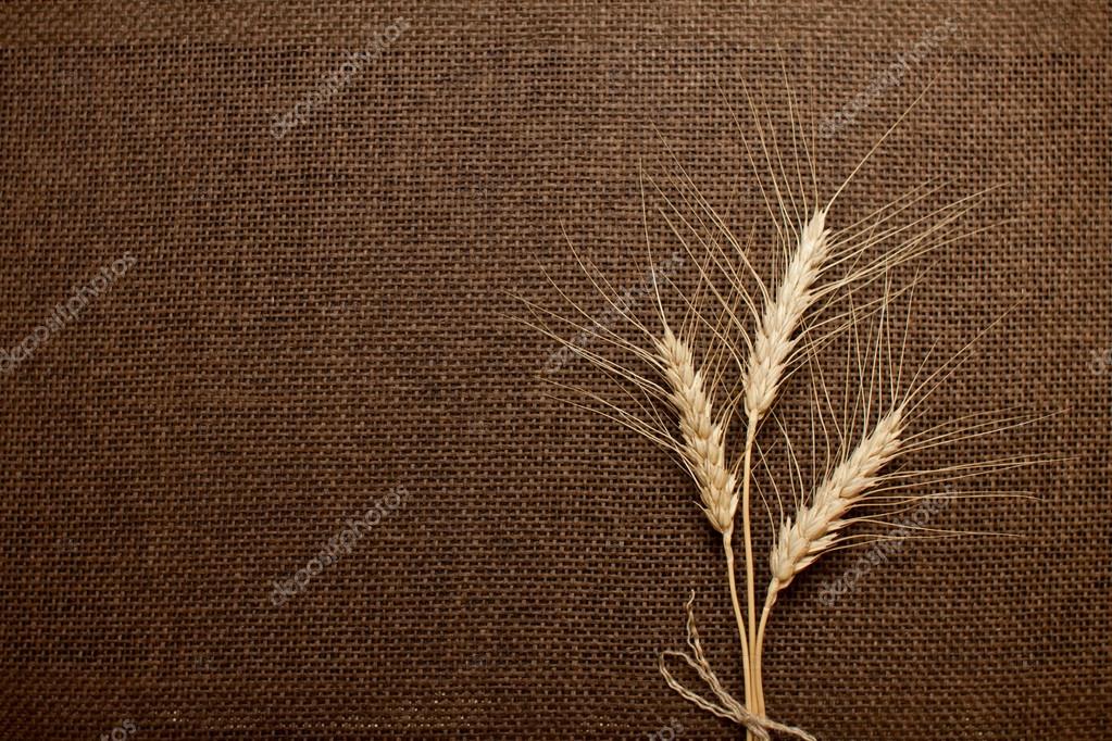 Wheat ears over brown canvas, hessian, burlap texture — Stock Photo ...