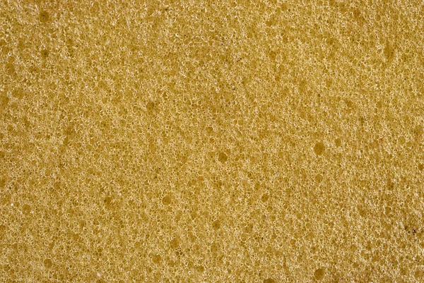Sponge texture Images - Search Images on Everypixel
