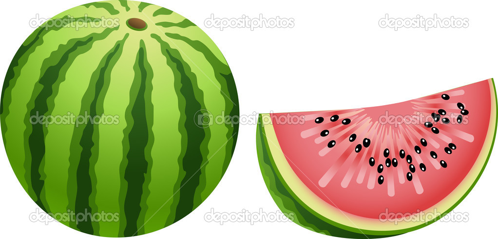 Sandía. Vector de stock #23503875 de ©vevestudio