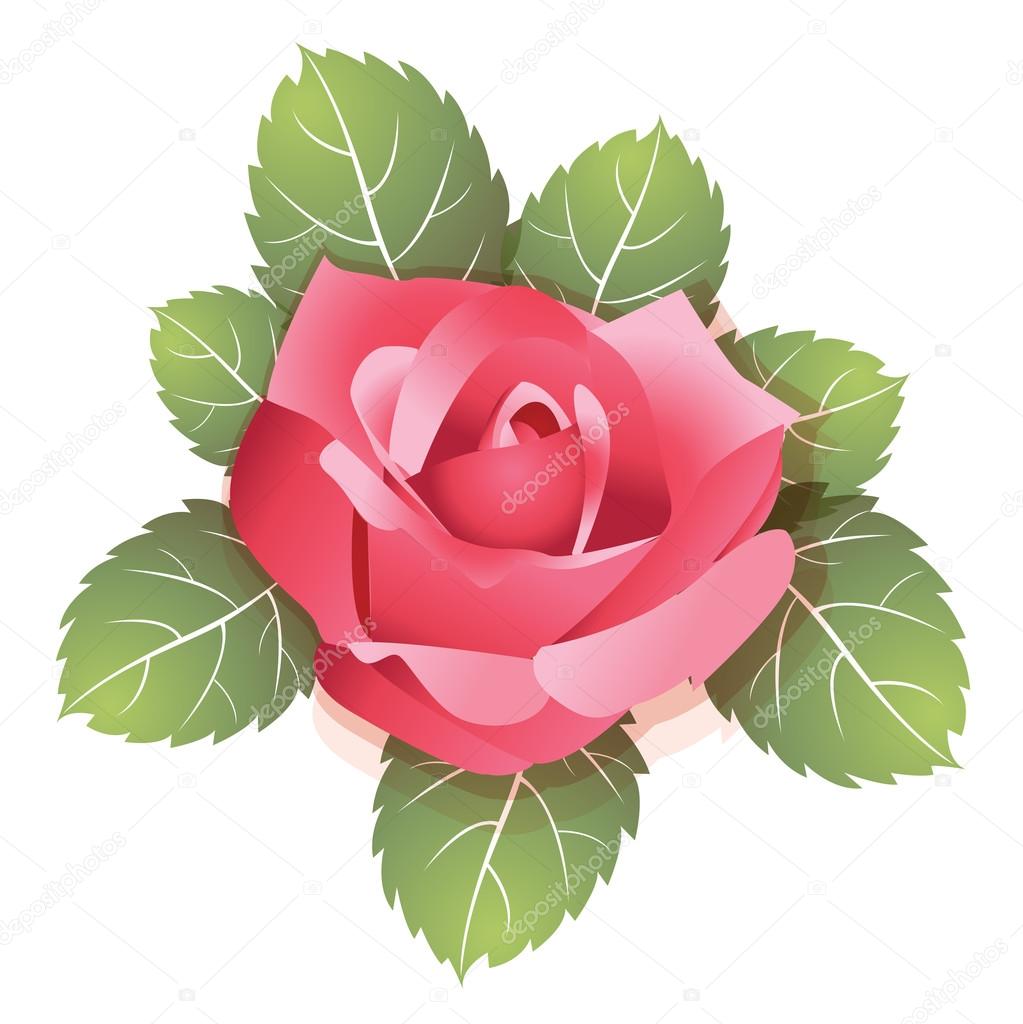 Hermoso vector rosa vector, gráfico vectorial © vevestudio imagen #23818735