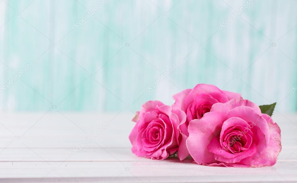 Postcard with fresh roses — Stock Photo © daffodil #51246081