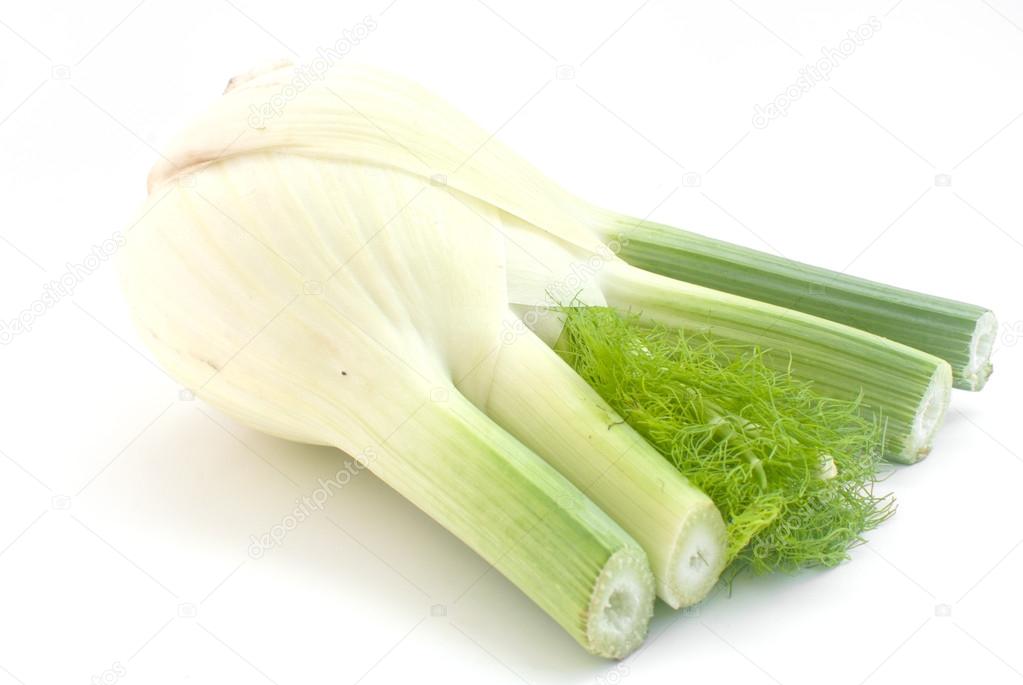 Fennel bulb — Stock Photo © razmarinka #22225377