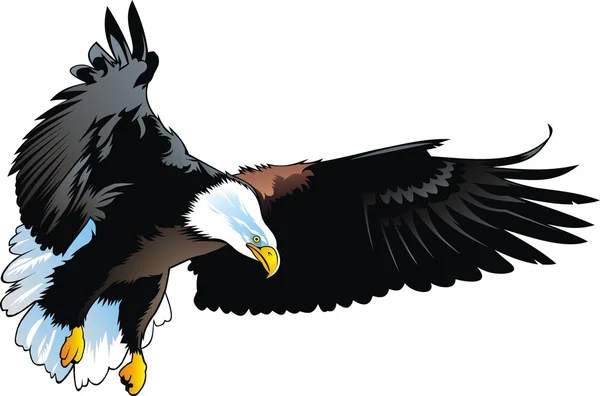 1,090 Eagles Vector Images | Depositphotos