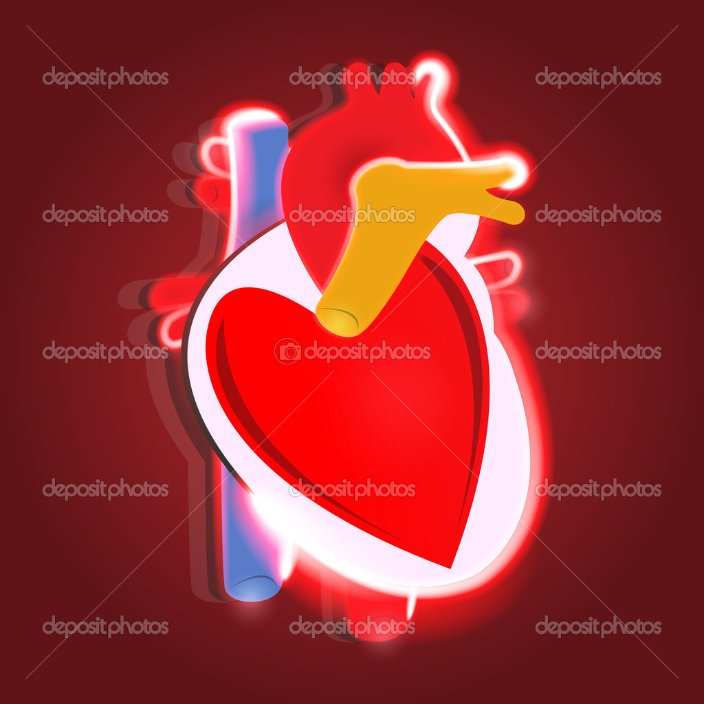 Corazón médico Vector de stock #35717731 de ©Mertsalovvw
