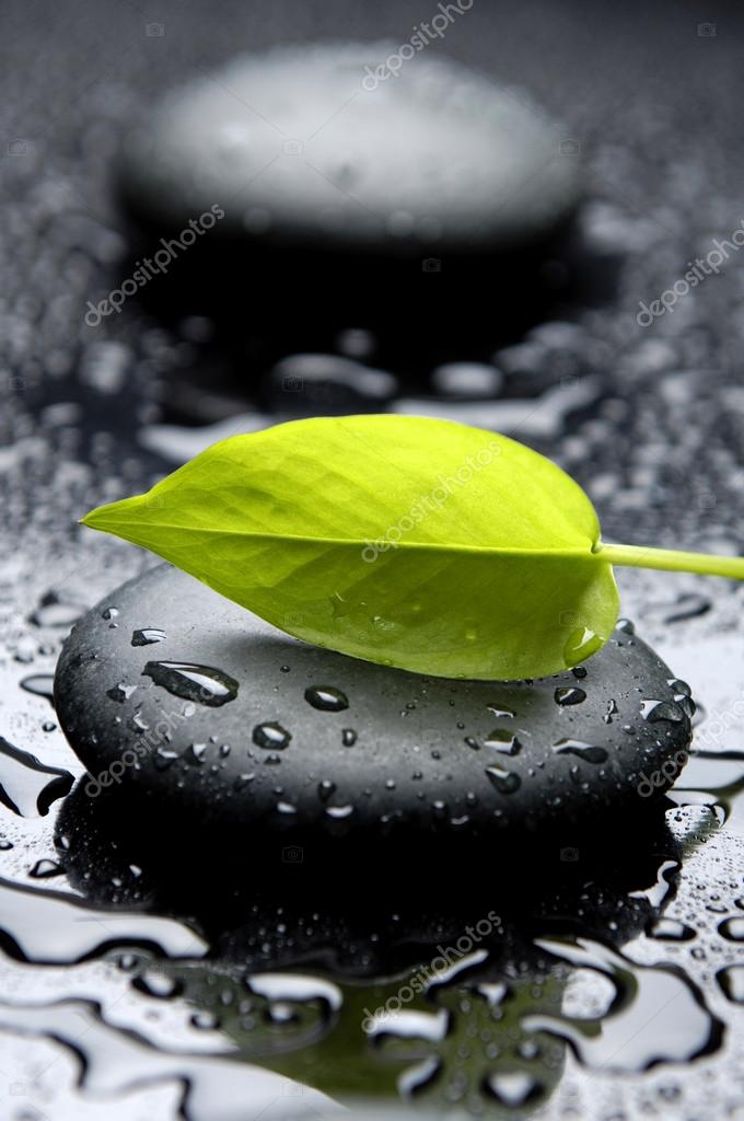 Spring leaf with Zen stones ⬇ Stock Photo, Image by © camelliawang ...