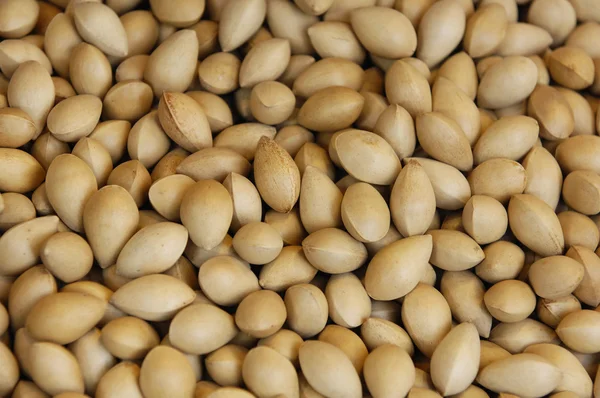 Ginkgo seed Stock Photos, Royalty Free Ginkgo seed Images | Depositphotos