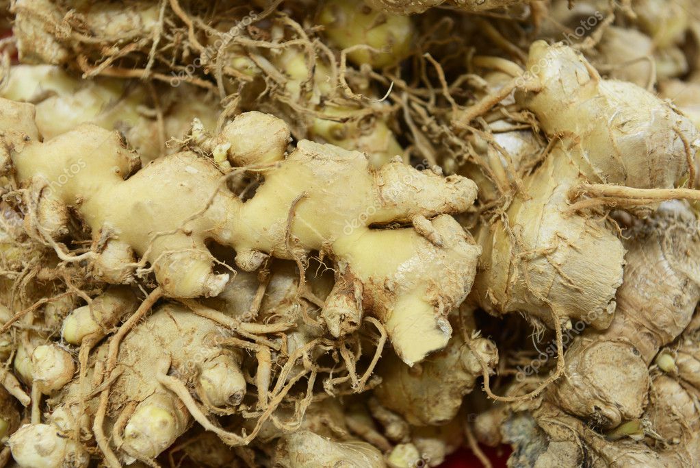 Dry old Ginger — Stock Photo © camelliawang #28666867