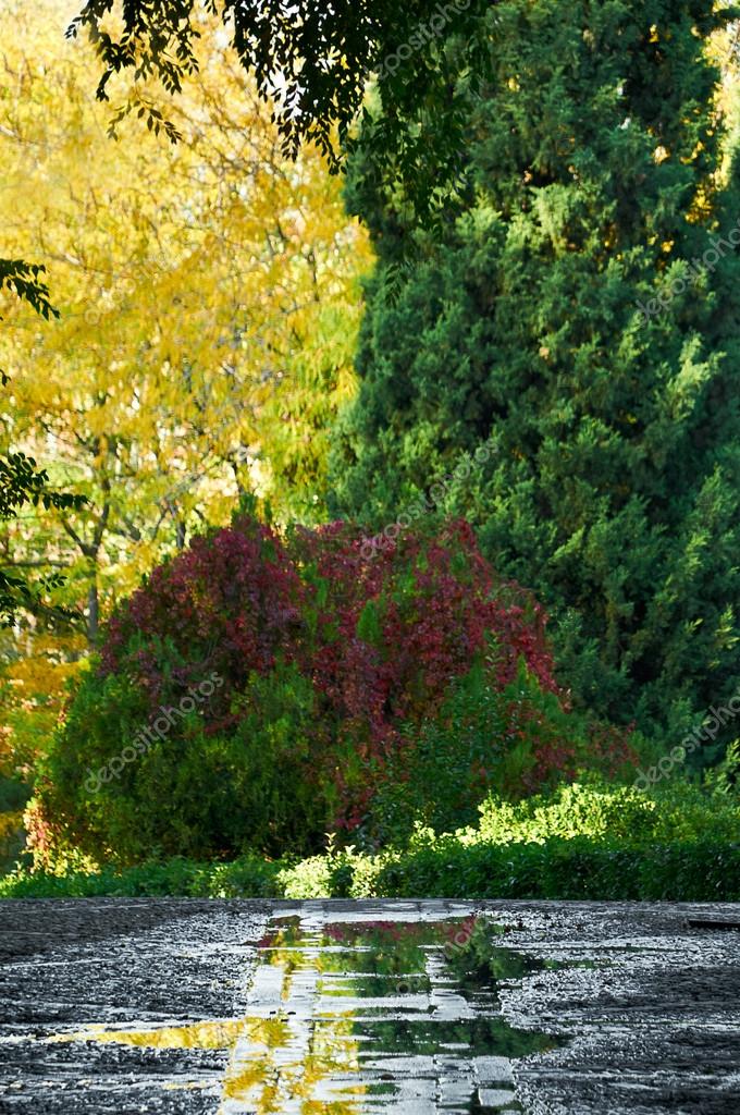 Nature background — Stock Photo © scornejor #19421469