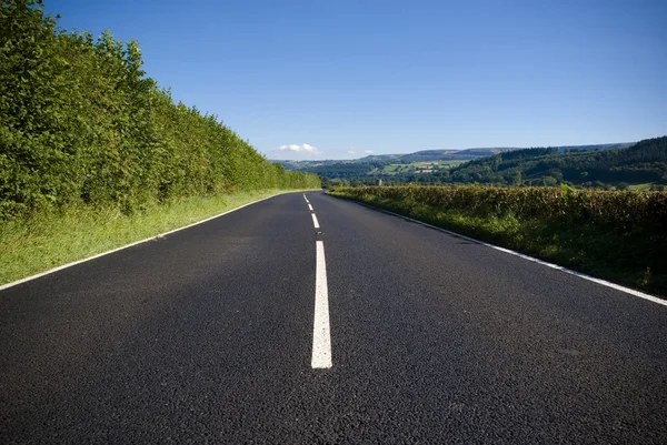 Open road and highway — Stock Photo © travelwitness #24455693