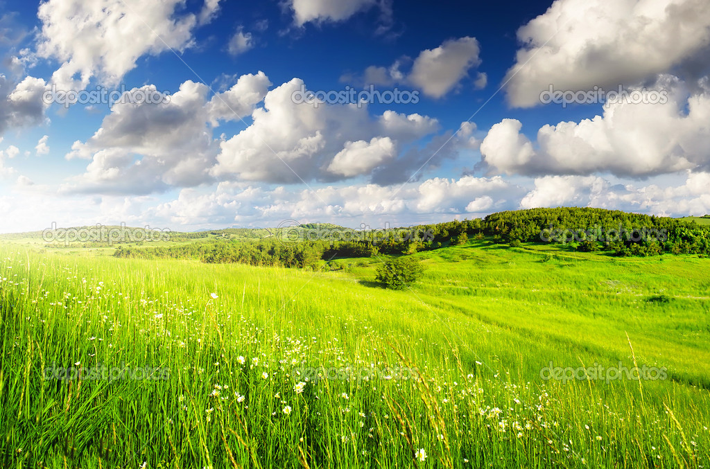 Bright green meadow and clouds — Stock Photo © biletskiy_e #45410903