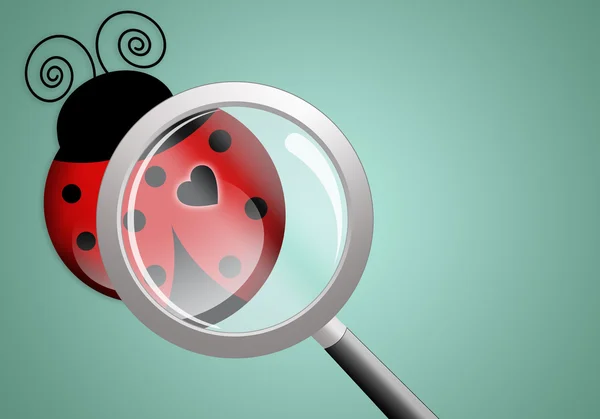 Magnifying Glass With Ladybug Stock Photo by ©HitToon 9323272