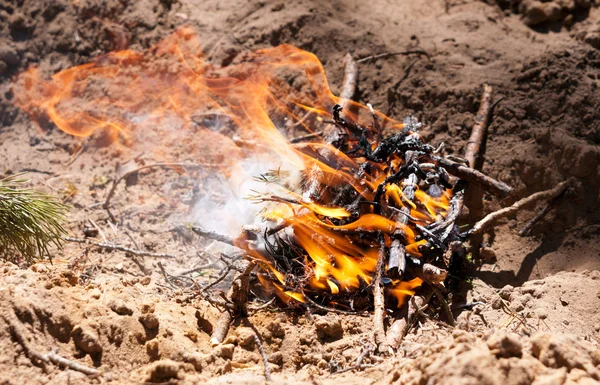 Small fire Images - Search Images on Everypixel