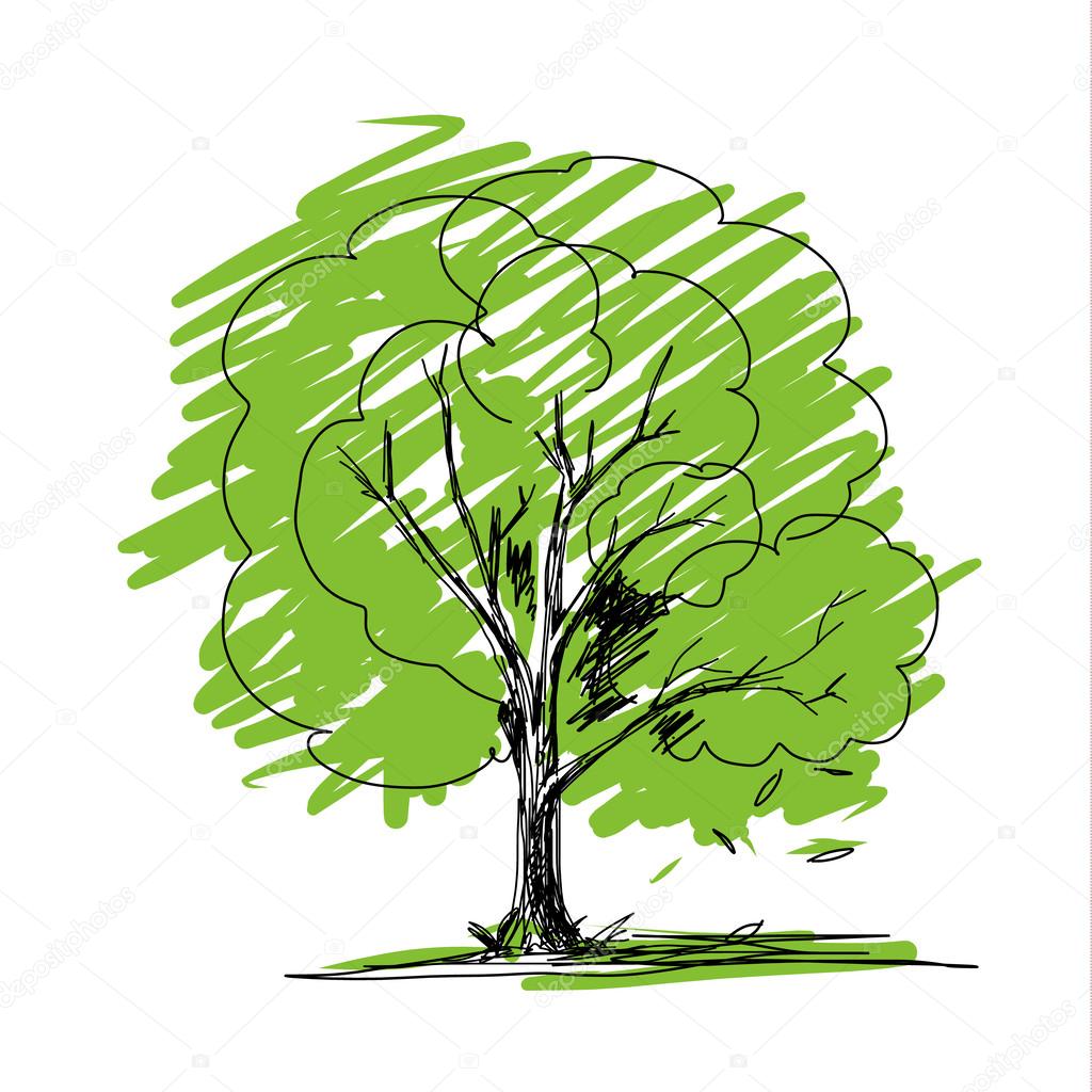 Vector tree sketch — Stock Vector © Myimagine #37244619 Vector tree sketch — Stock Vector © Myimagine #37244619