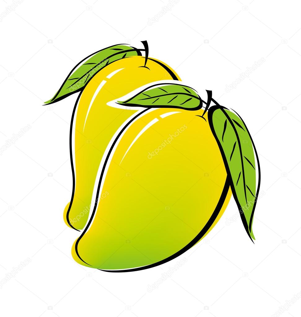 Mango design on white background Stock Vector Image by ©Myimagine #44649881