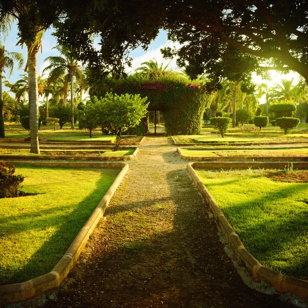 Straight tree Stock Photos, Royalty Free Straight tree Images ...