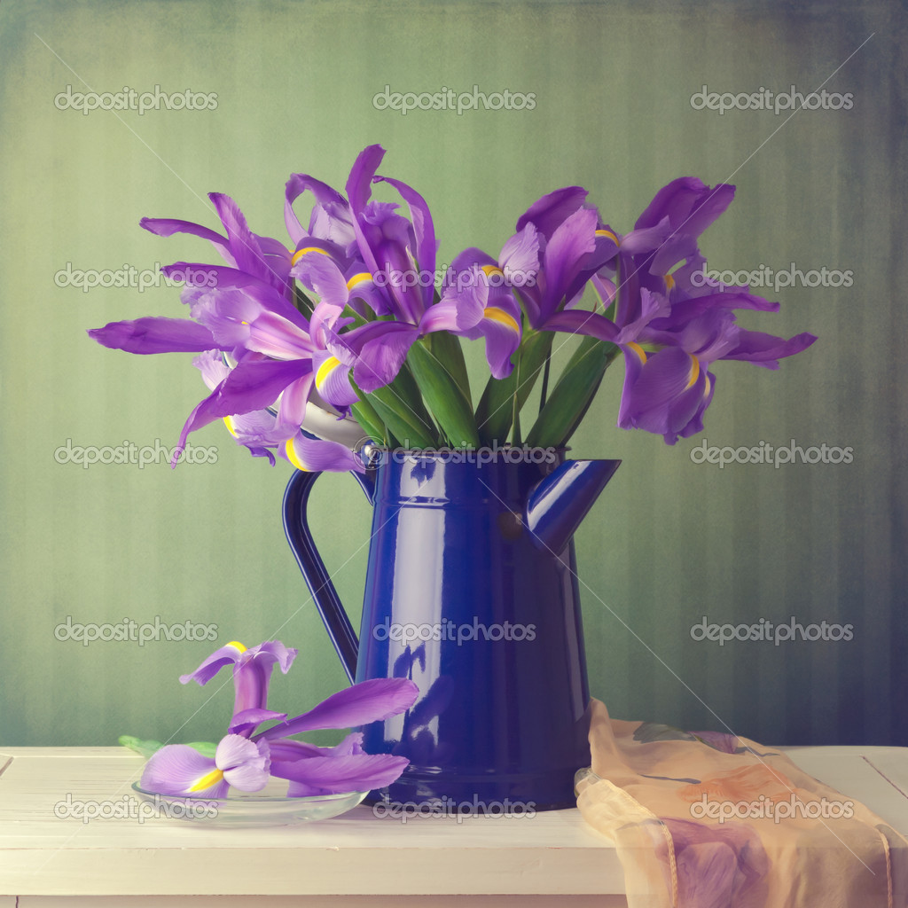 Iris flower bouquet — Stock Photo © maglara #39497827