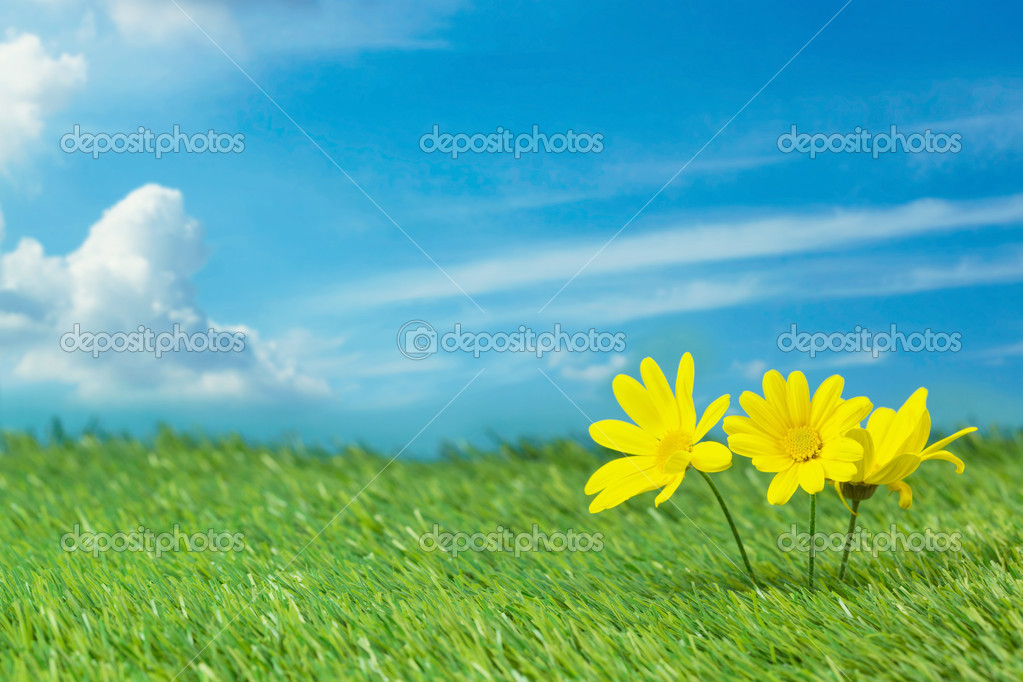 Spring background — Stock Photo © maglara #42174431