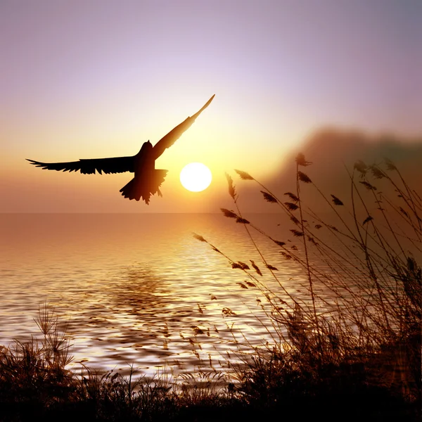 Bird flying over the river — Stock Photo © jeneva86 #30770585