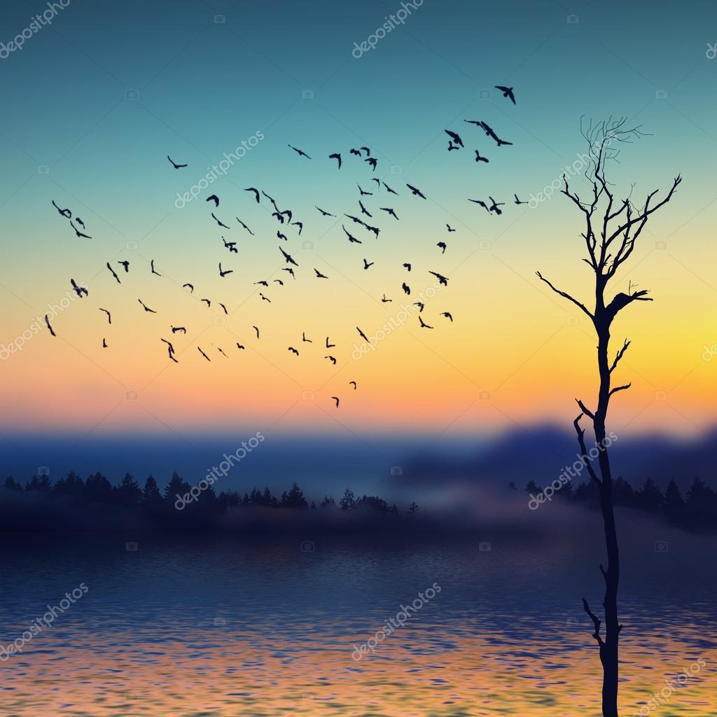Birds flying over the river — Stock Photo © jeneva86 #29325819