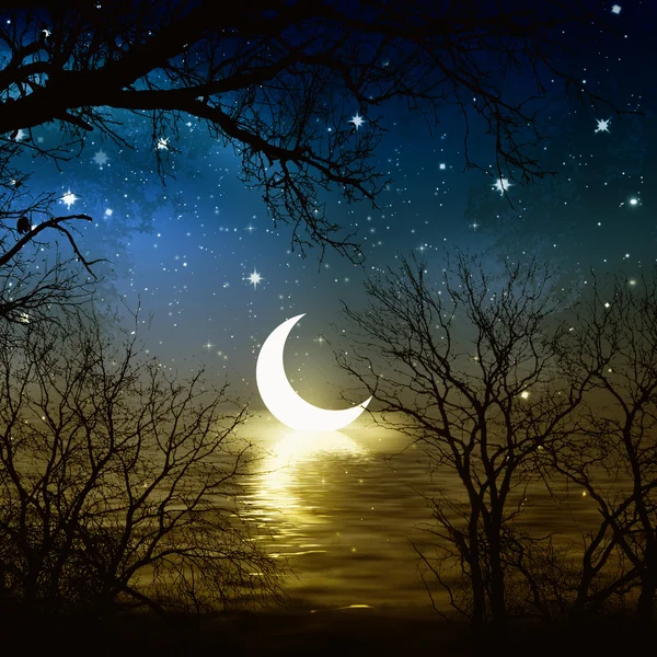 Night sky with moon Stock Photo by ©I_g0rZh 22502173