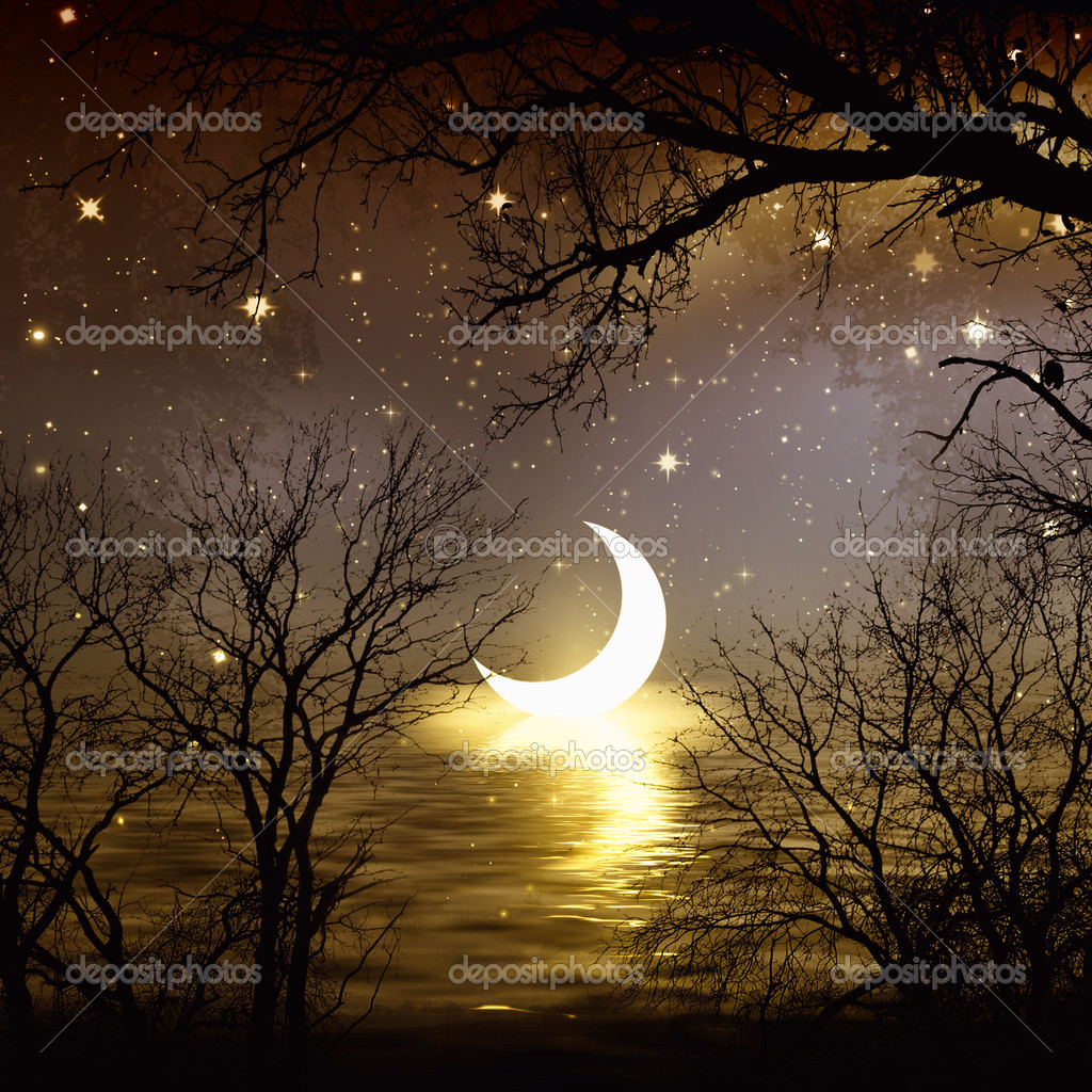 Beautiful Sceneries Of Nature At Night