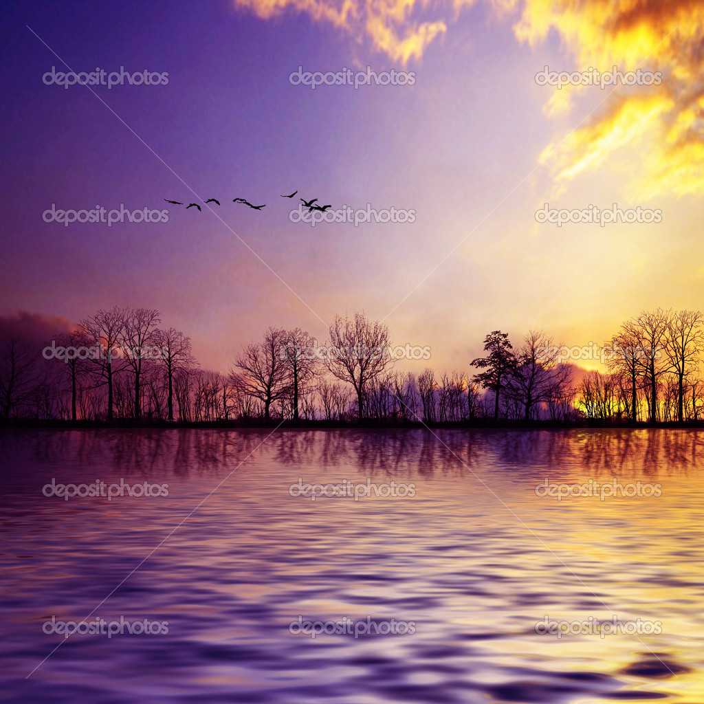 Flying birds Stock Photo by ©jeneva86 42160441