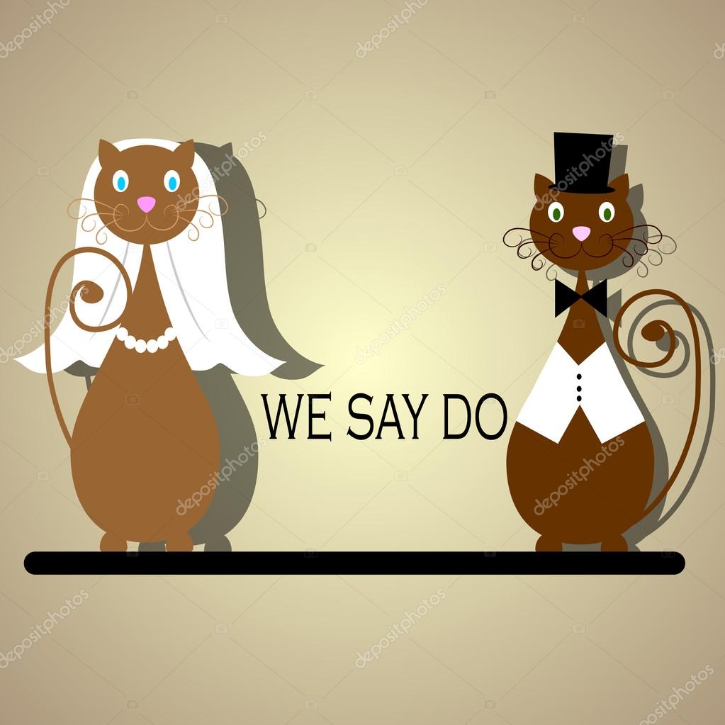 Two Cats Getting Married