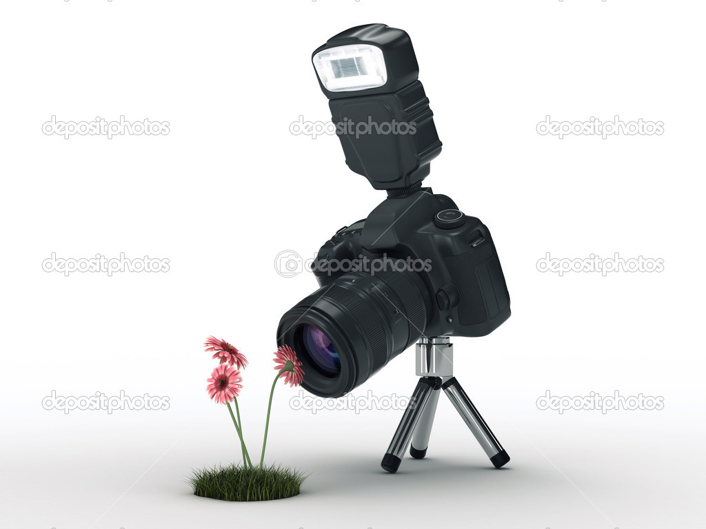 Photo camera and flowers — Stock Photo © lchumpitaz #44706197