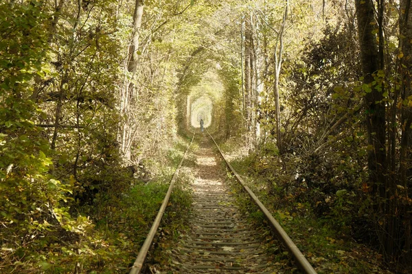 Natural Tunnel of Love on the railway. Natural miracle - the tunnel of ...