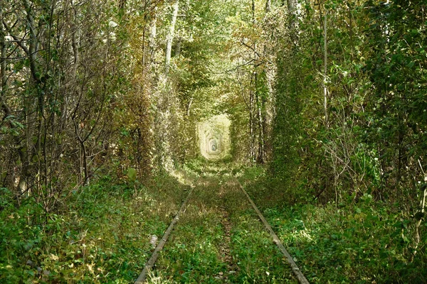 Natural Tunnel of Love on the railway. Natural miracle - the tunnel of ...