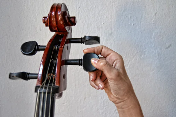 Musical legends Stock Photos, Royalty Free Musical legends Images ...