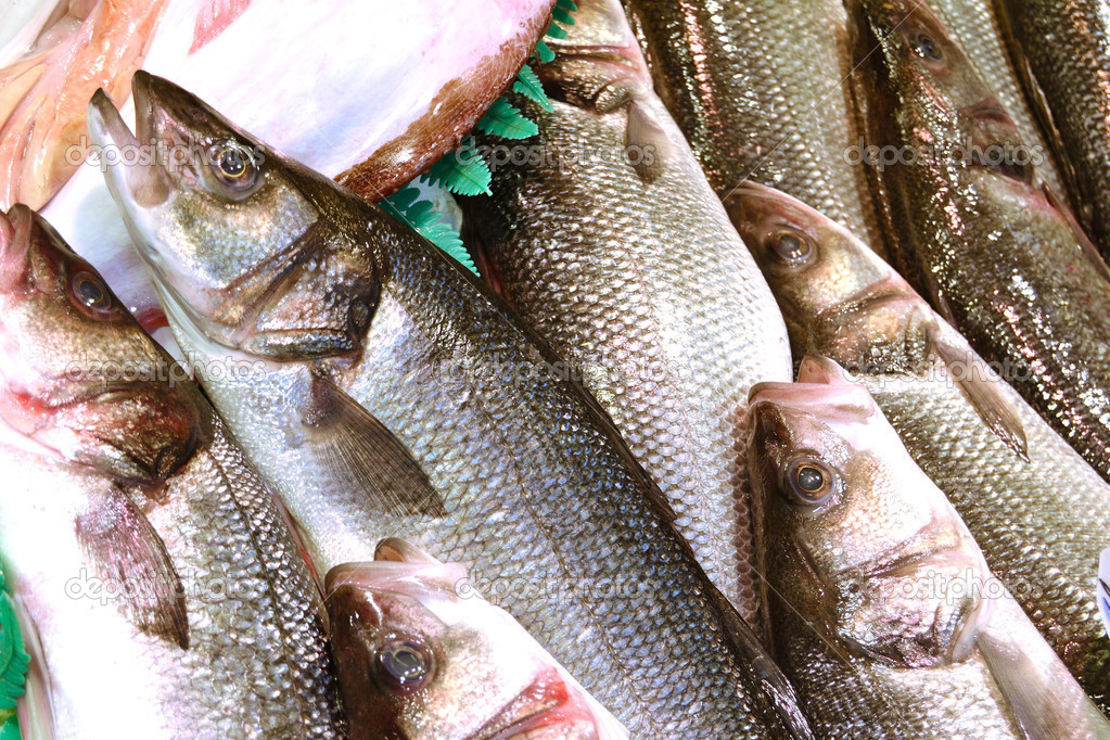 Bass fish Stock Photo by ©Giovanni_Cancemi 20615389