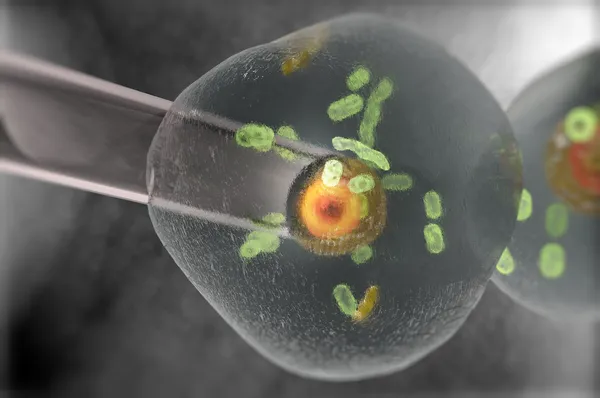 Cell cloning — Stock Photo © Giovanni_Cancemi #25858041