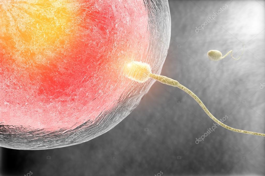 El momento de la fertilización: fotografía de stock © Giovanni_Cancemi ...