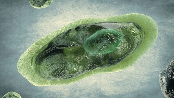 Virus - Pandoravirus Stock Photo by ©Giovanni_Cancemi 28642075