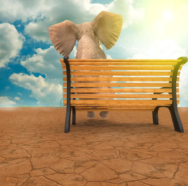 Elephant sitting Stock Photos, Royalty Free Elephant sitting Images ...