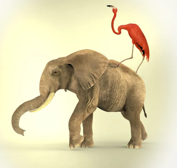 3d flamingo Pictures, 3d flamingo Stock Photos & Images | Depositphotos®