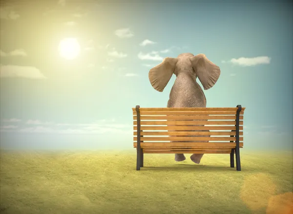 Sitting elephant Stock Photos, Royalty Free Sitting elephant Images ...