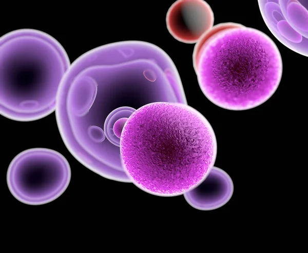 Tejido adiposo Stock Photos, Royalty Free Tejido adiposo Images ...