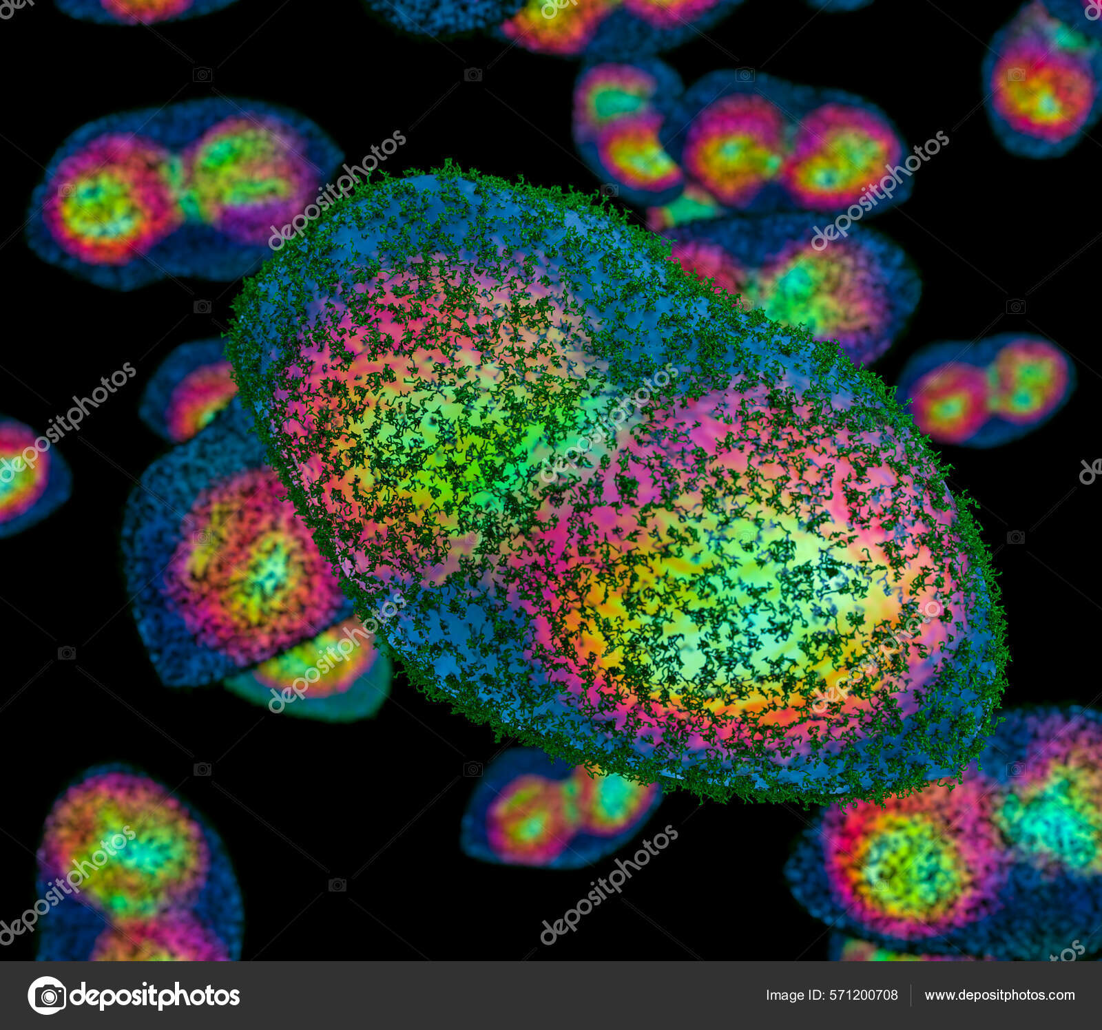 Chicken Pox Virus Under Microscope