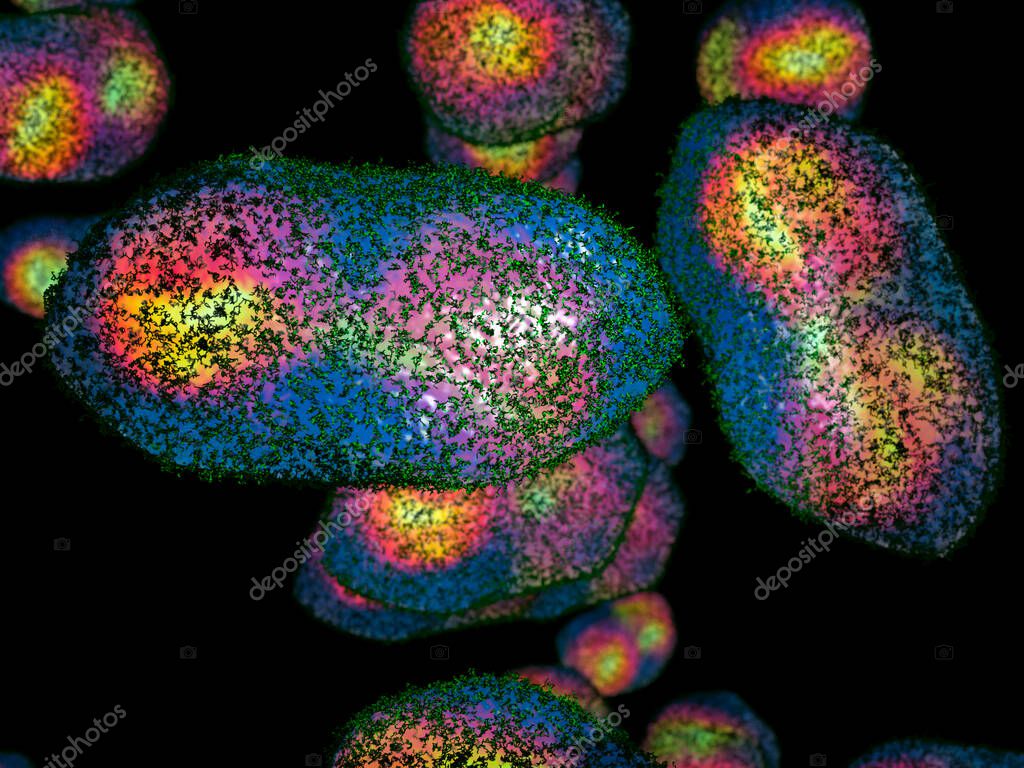 Los virus de la viruela son de forma ovalada y tienen ADN de doble ...