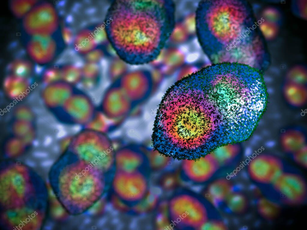 Microscopio Del Virus Della Rubeola